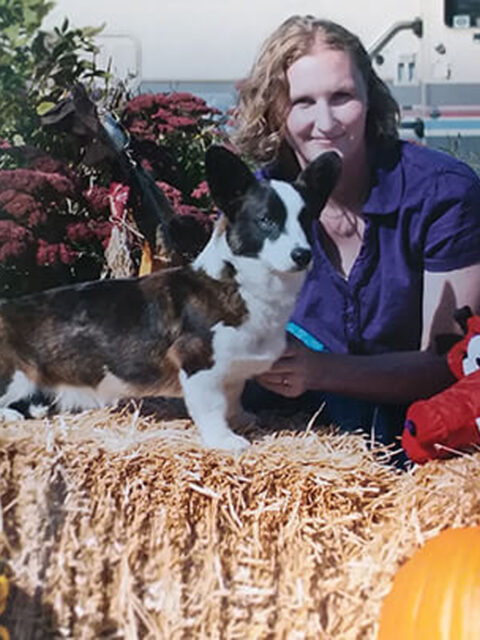 Veterinarian In Madison, WI 53719 | Sondel Family Veterinary Clinic